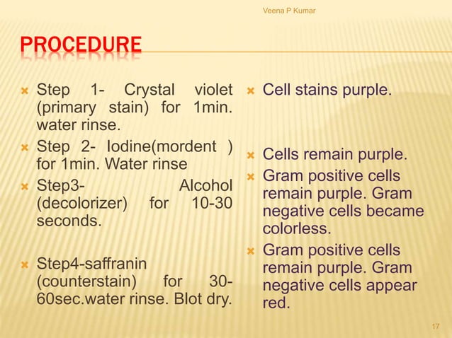 Staining techniques bacteria... | PPTX