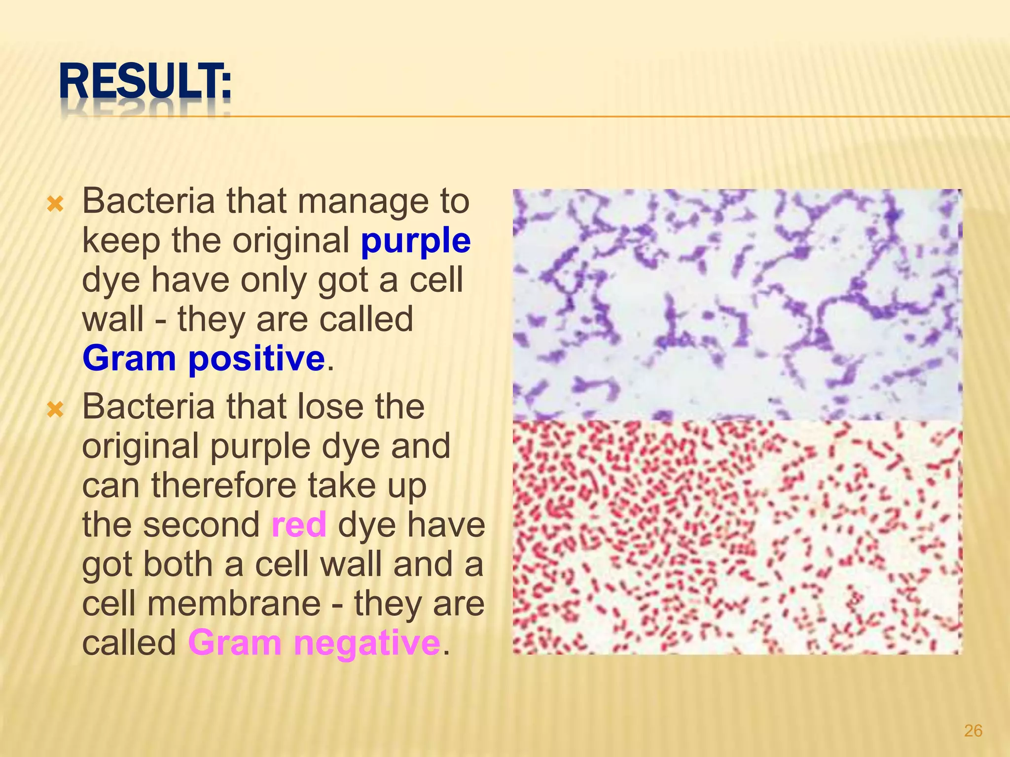 Staining Techniques in Microbiology | PPTX
