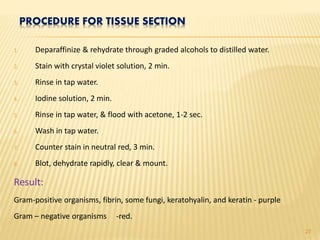 Fibrin Weigert Stain Method