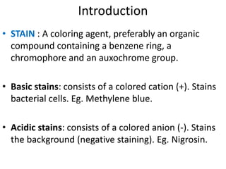 Staining techniques (Gram & ZN).pptx
