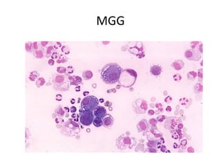 STAINING TECHNIQUES IN CYTOLOGY KNust.pdf