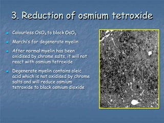 staininng of lipid.pptx