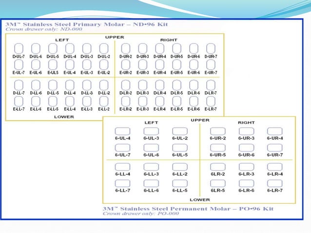 Stainless steel crowns | PPTX | Dental Health | Diseases and Conditions