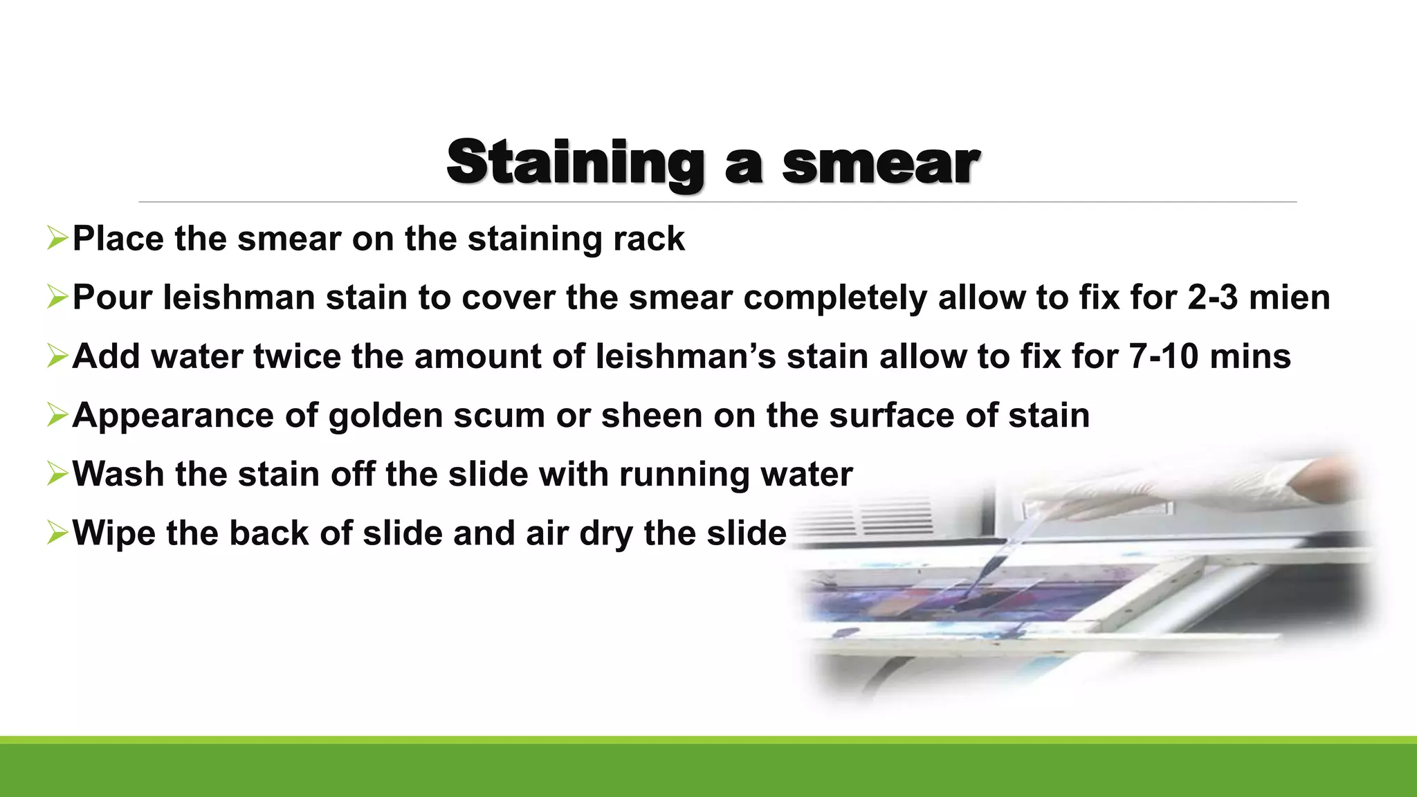 Stain of hematology | PPTX
