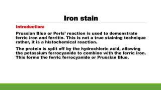 Stain of hematology | PPTX