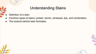 stain removal.pptx HOUSEKEEPING LESSON PPT | PPTX