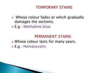 Stains | PPTX