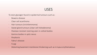 Comprehensive overview of stains in dermatopathology | PPTX