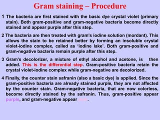 Types of staining techniques in microbiology | PDF