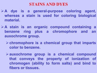 Types of staining techniques in microbiology | PDF