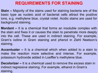 Types of staining techniques in microbiology | PDF