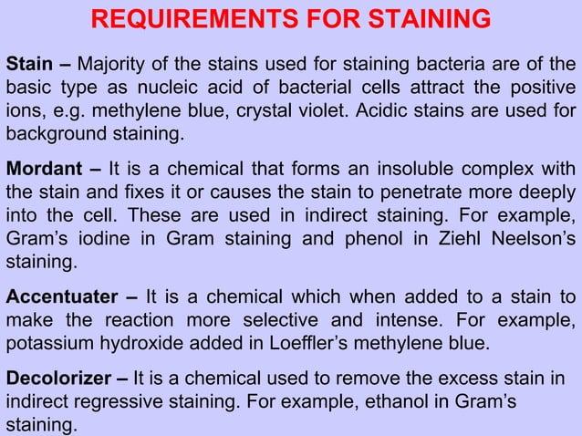 Types of staining techniques in microbiology | PDF