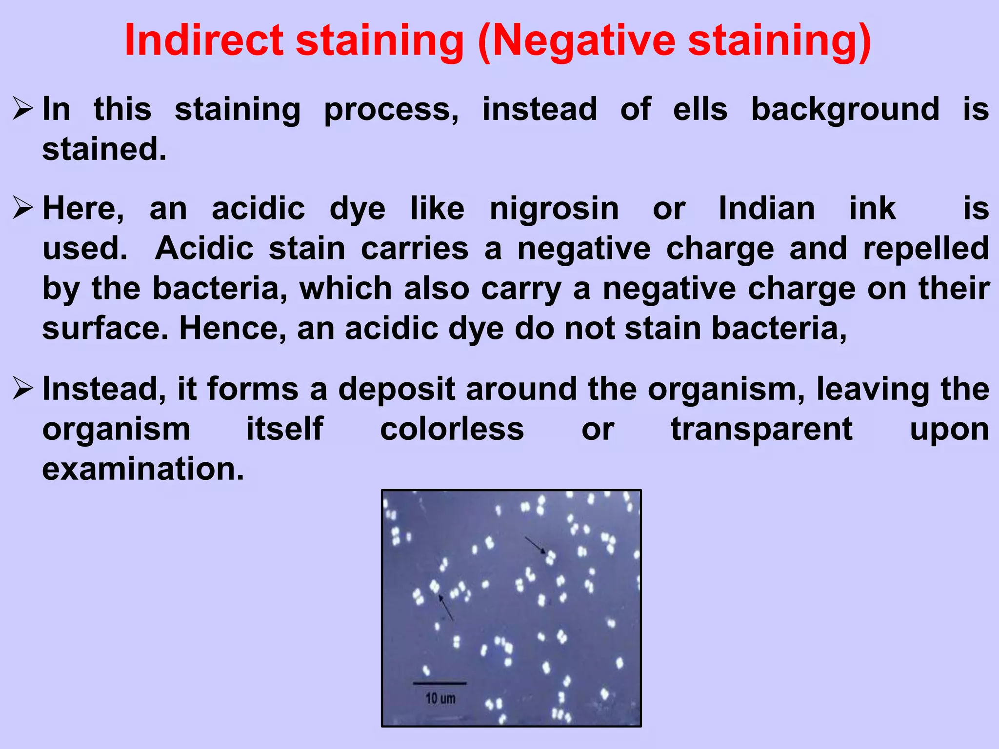 Stains - -staining.pptx