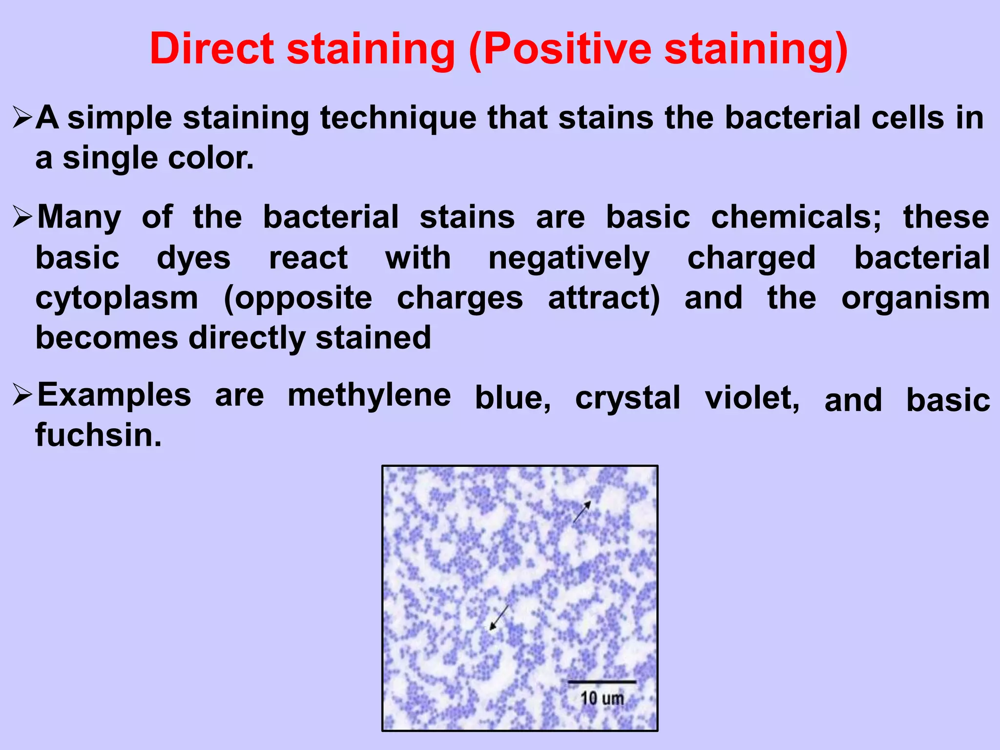 Stains - -staining.pptx