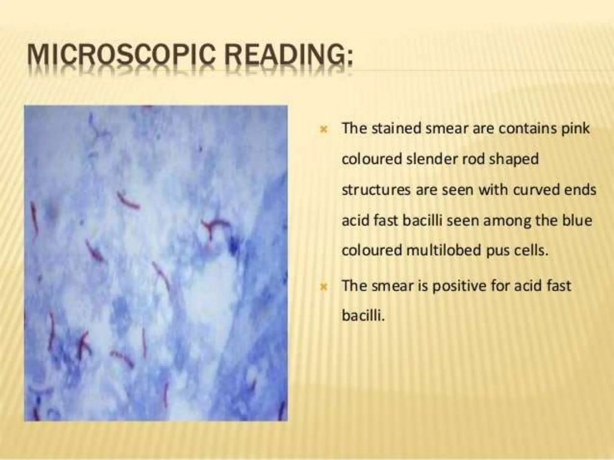 STAINSStains and dyes are frequently used in histology, in cytology ...