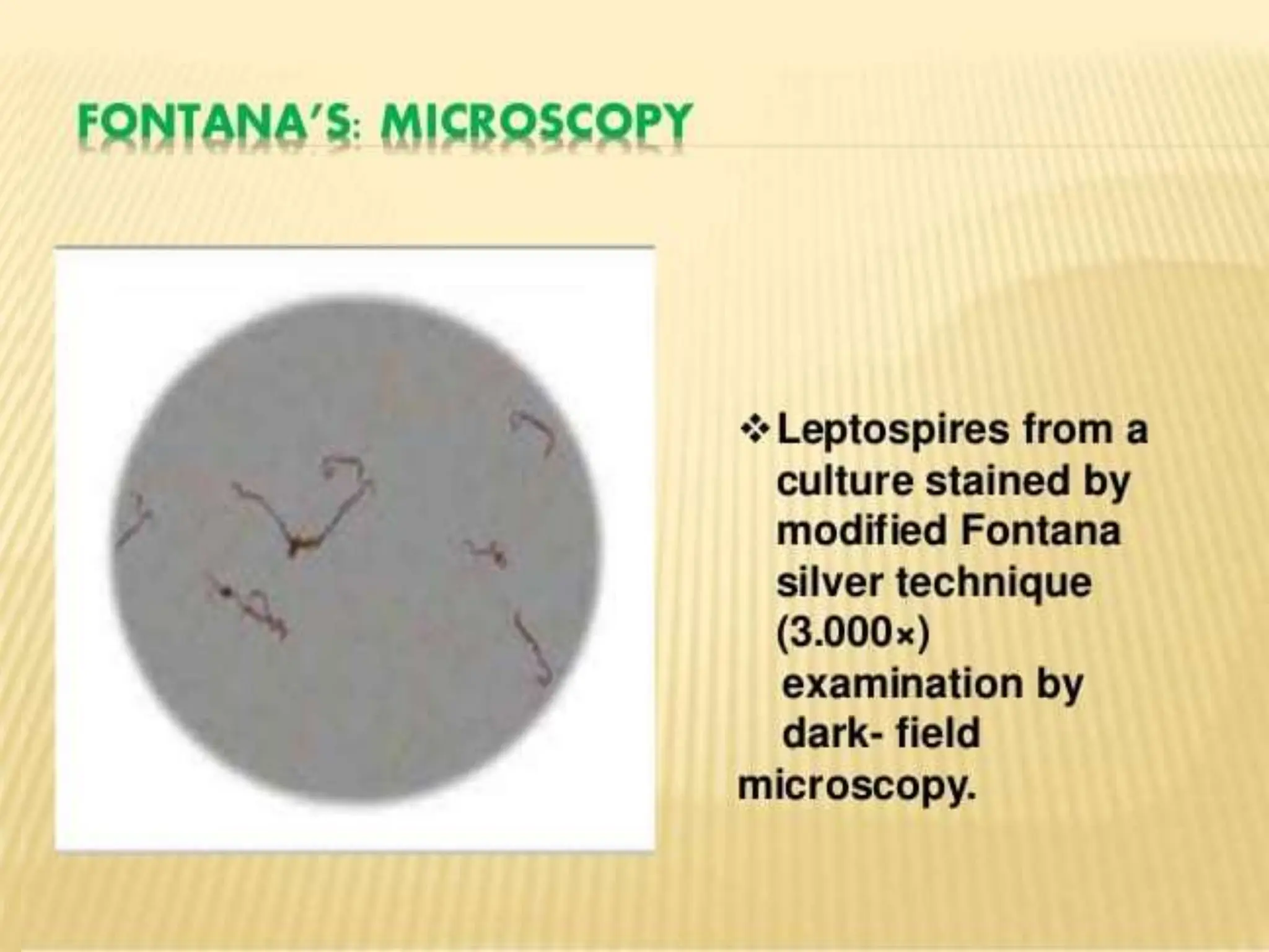 STAINSStains and dyes are frequently used in histology, in cytology, and in the medical fields ...