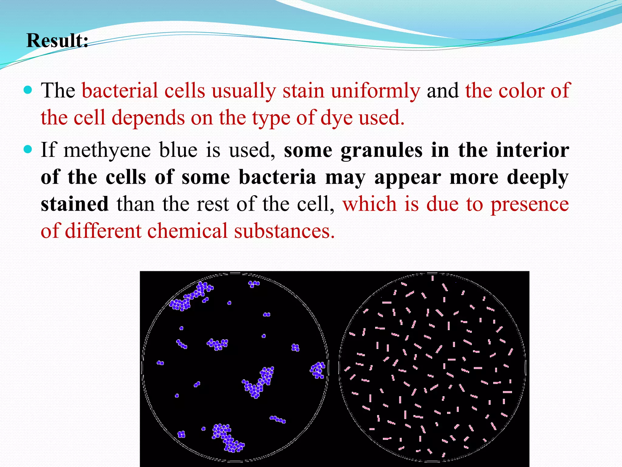 Stains and staining techniques | PPTX