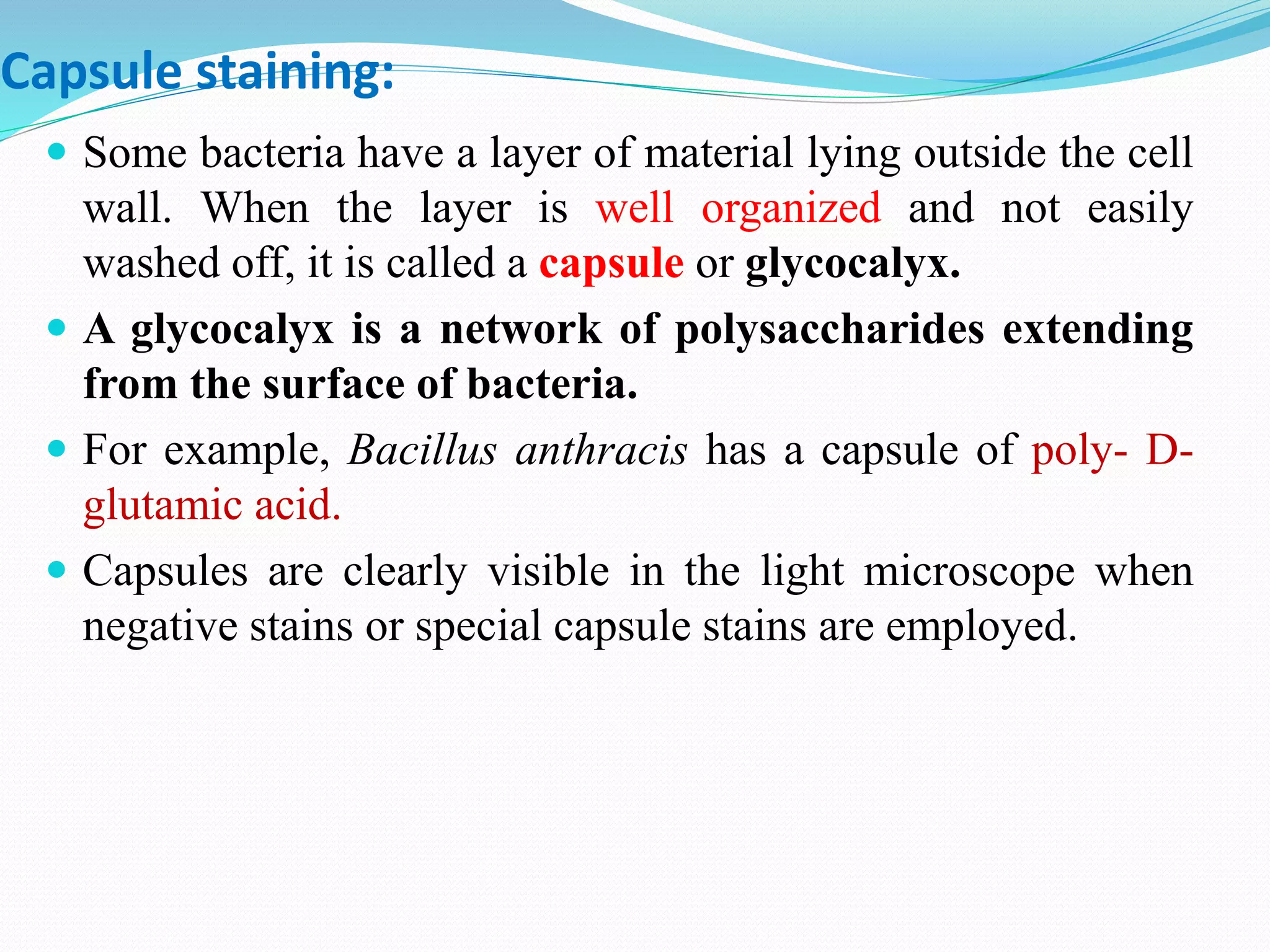 Stains and staining techniques | PPTX