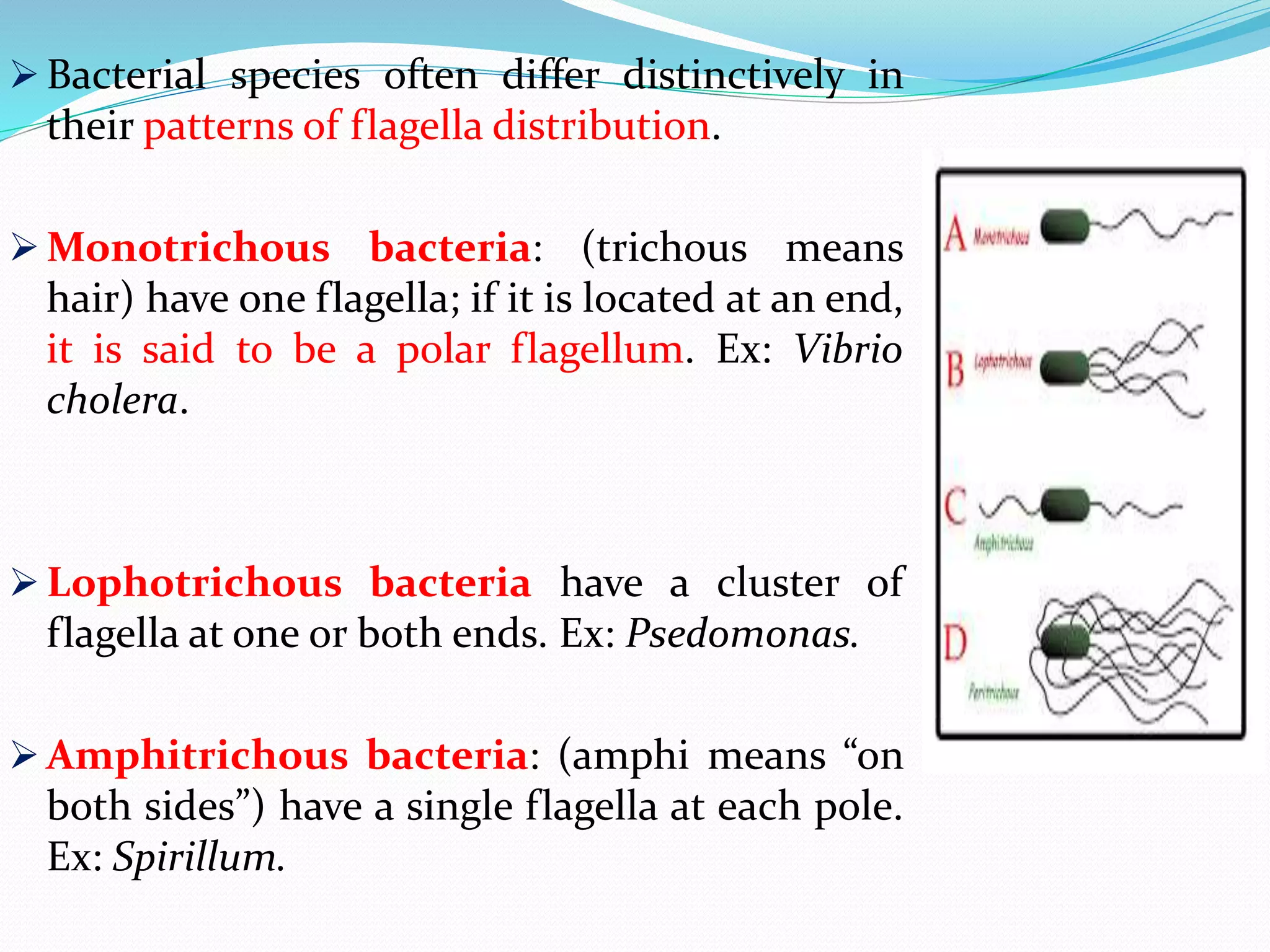 Stains and staining techniques | PPTX