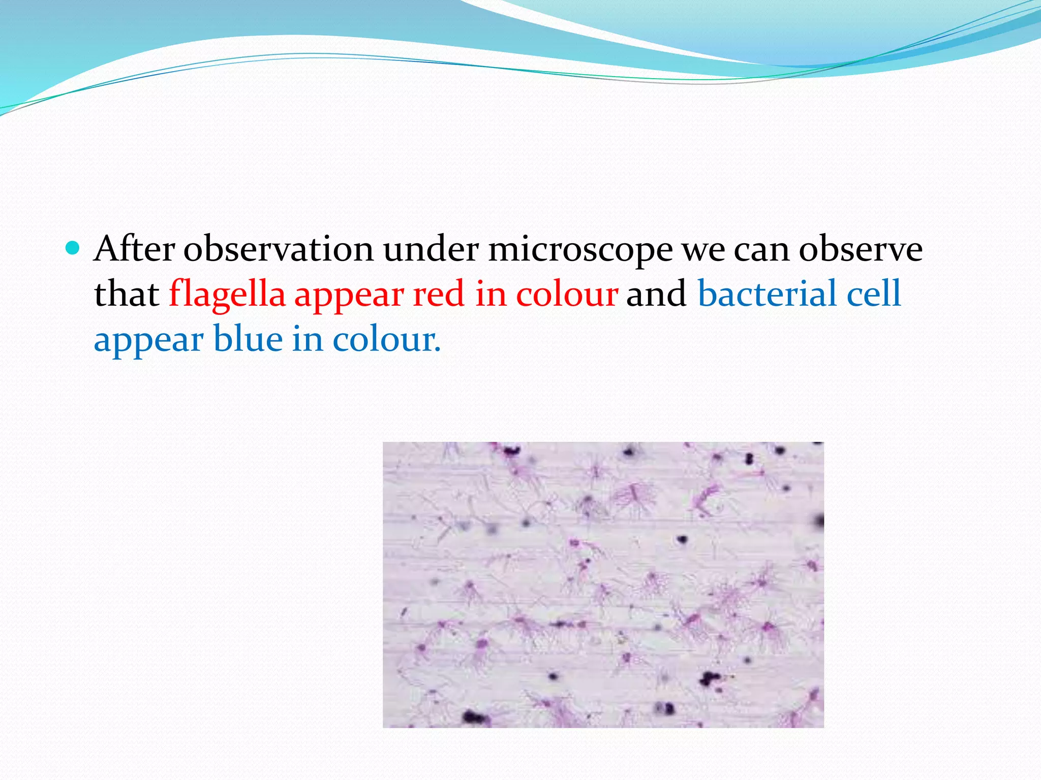 Stains and staining techniques | PPTX