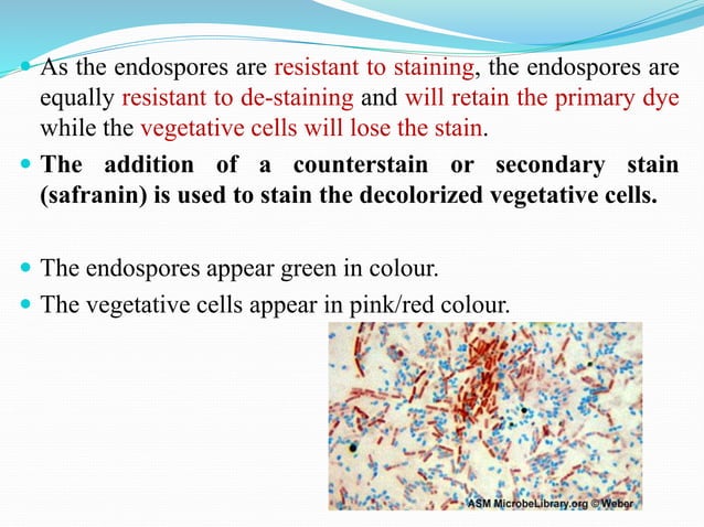 Stains and staining techniques | PPTX | Chemistry | Science