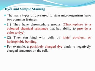 Stains and staining techniques | PPTX