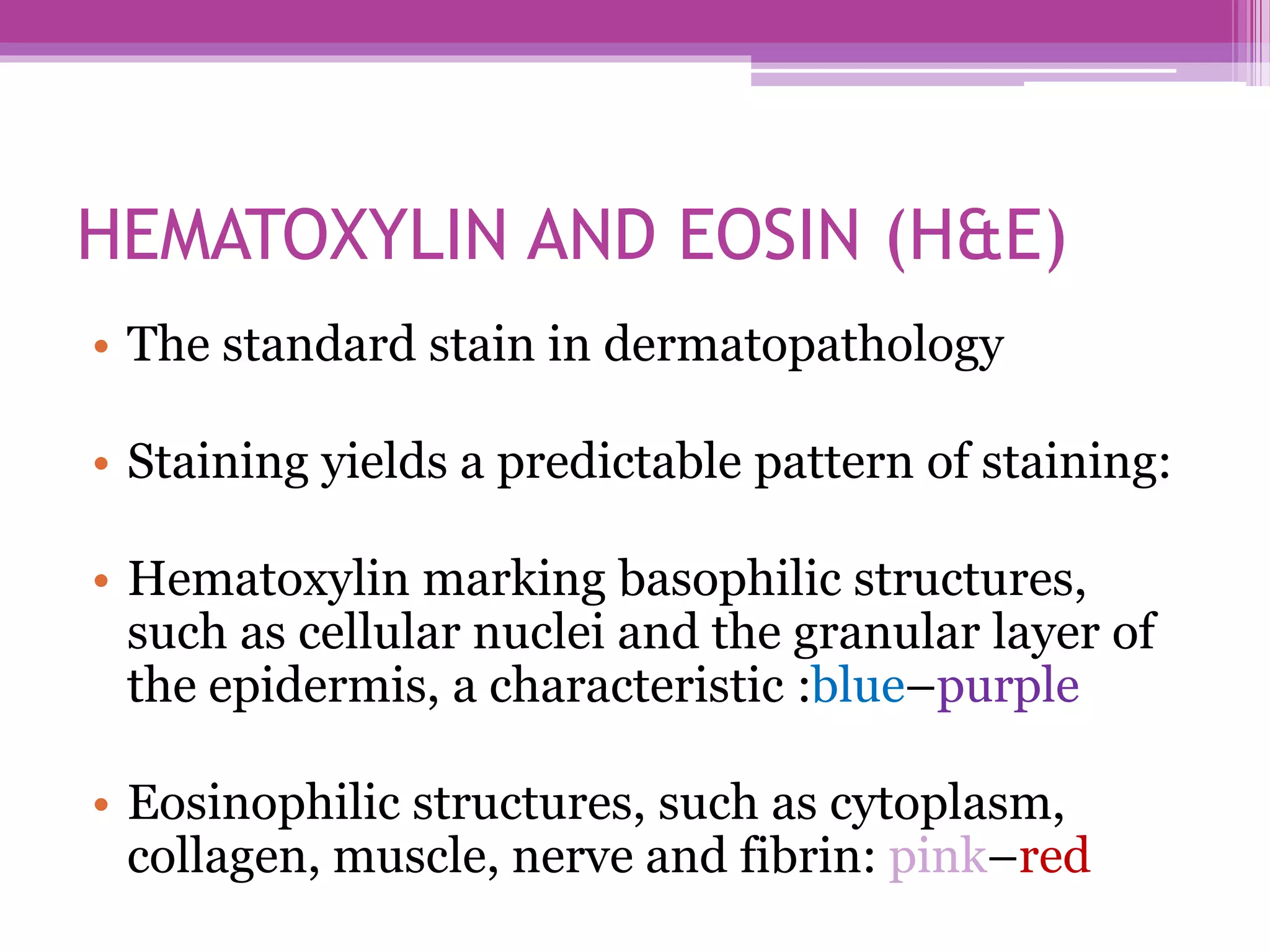 Stains in dermatology | PPTX
