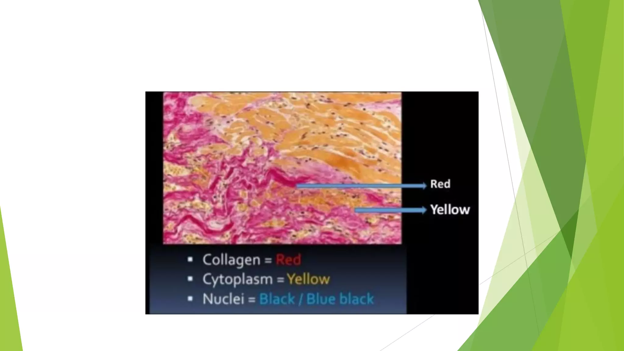 Stains in dermatology .pptx