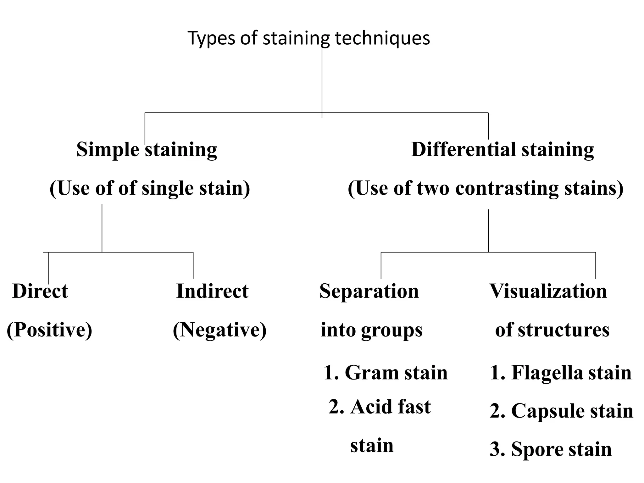 stains in dermatology.pptx
