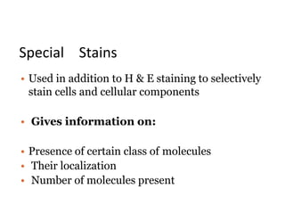 stains in dermatology.pptx