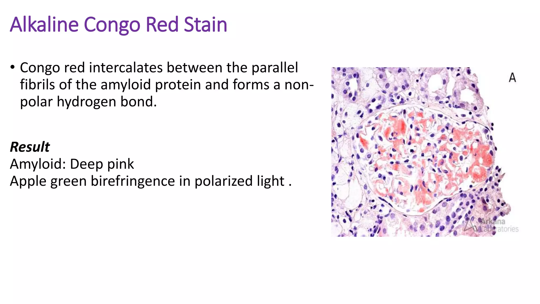 STAINS IN HISTOPATHOLOGY.pptx