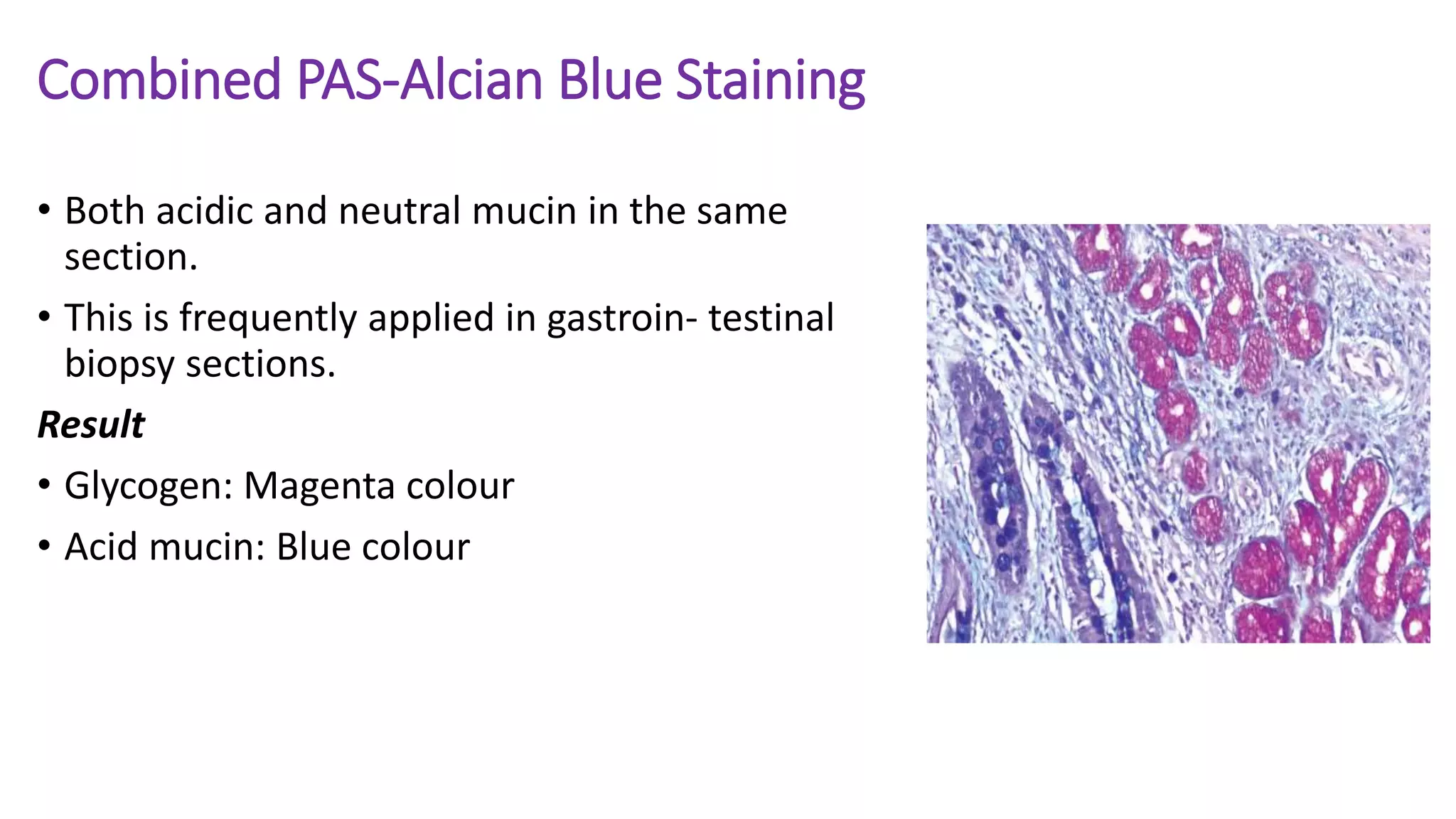 STAINS IN HISTOPATHOLOGY.pptx