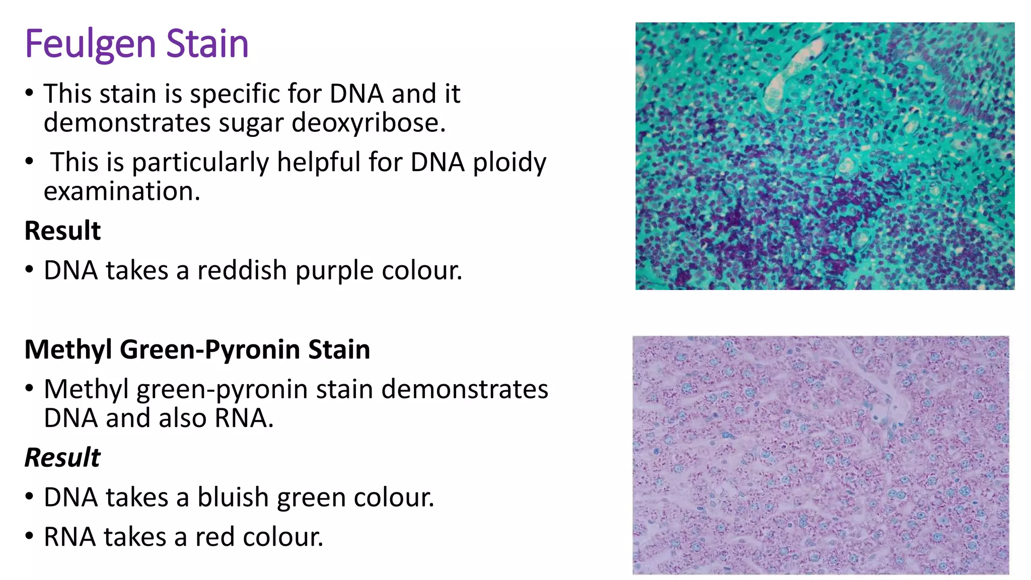 STAINS IN HISTOPATHOLOGY.pptx