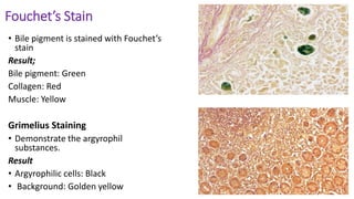 STAINS IN HISTOPATHOLOGY.pptx