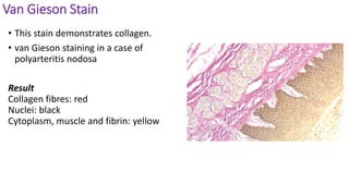 STAINS IN HISTOPATHOLOGY.pptx