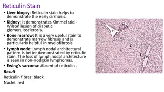 STAINS IN HISTOPATHOLOGY.pptx