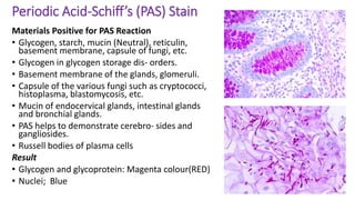 STAINS IN HISTOPATHOLOGY.pptx