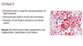 STAINS IN HISTOPATHOLOGY.pptx