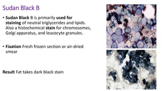 STAINS IN HISTOPATHOLOGY.pptx
