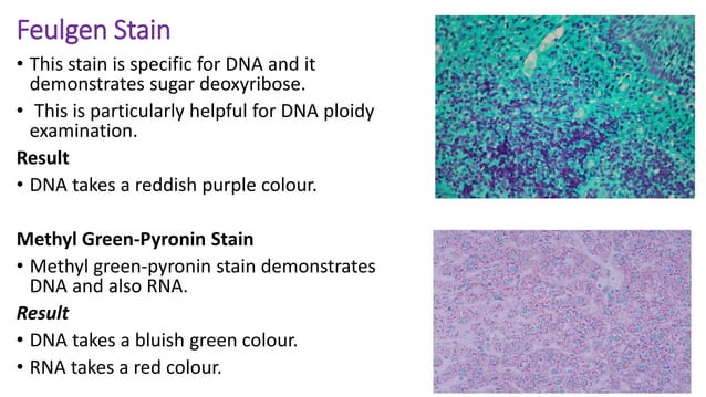 STAINS IN HISTOPATHOLOGY.pptx