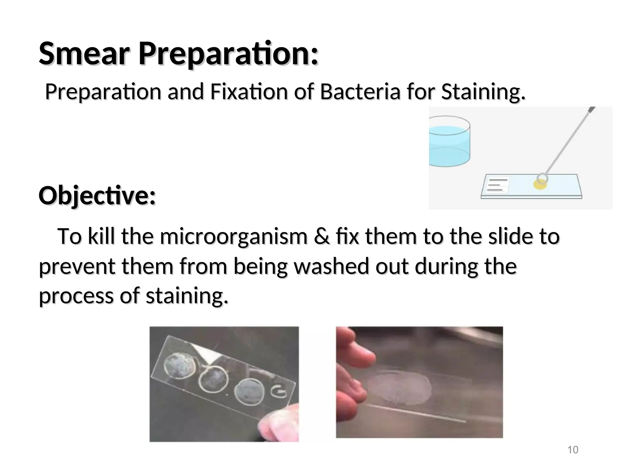 Staining techniques in microbiology .ppt