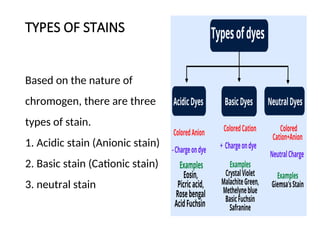 Staining techniques in microbiology .ppt