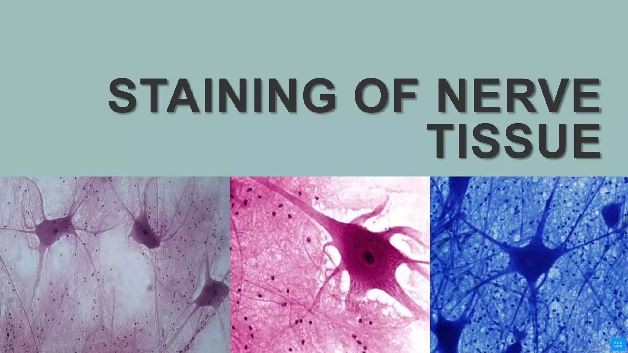 stains of nervous tissues.pptx
