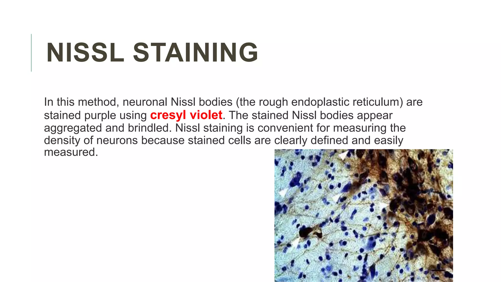 stains of nervous tissues.pptx