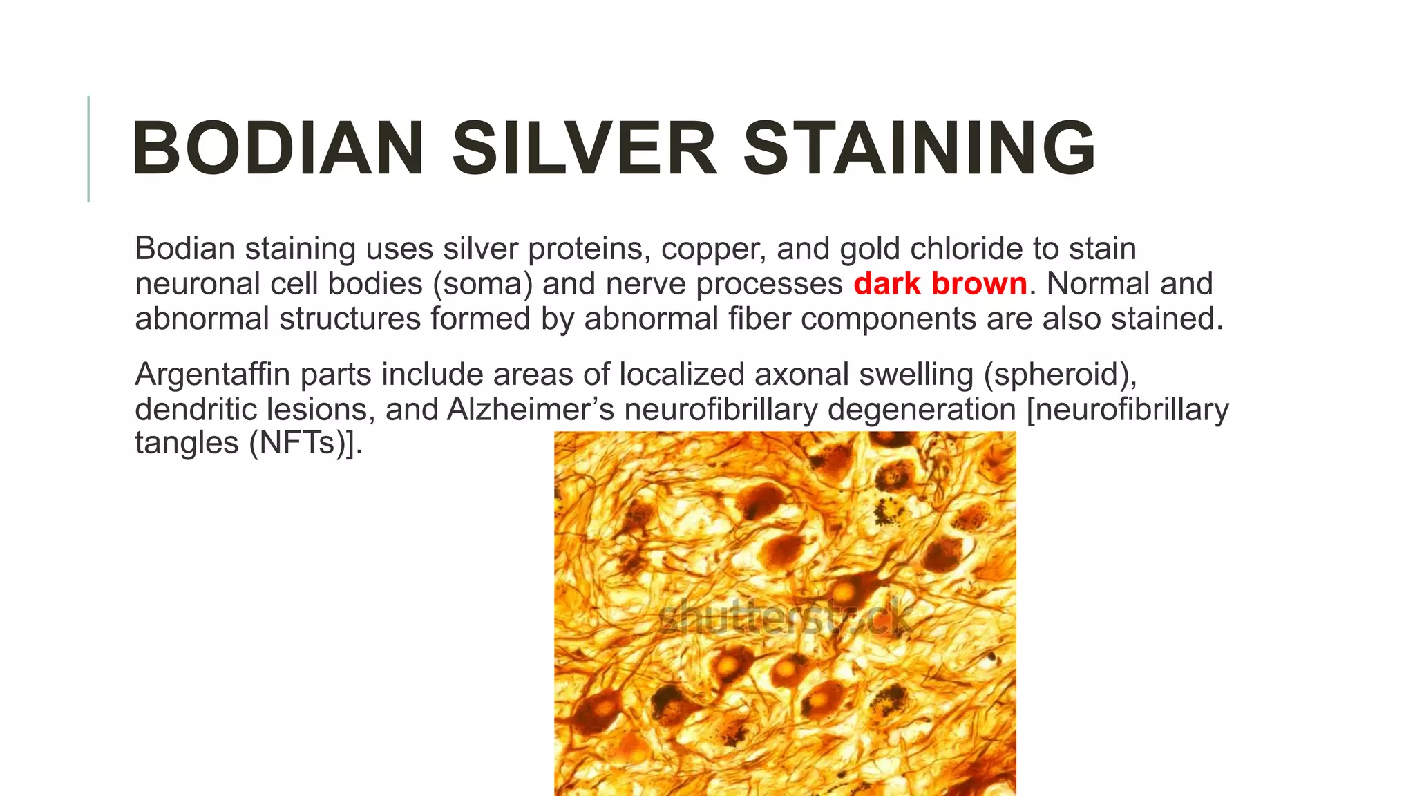 stains of nervous tissues.pptx