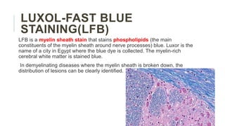 stains of nervous tissues.pptx