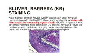stains of nervous tissues.pptx