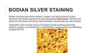 stains of nervous tissues.pptx