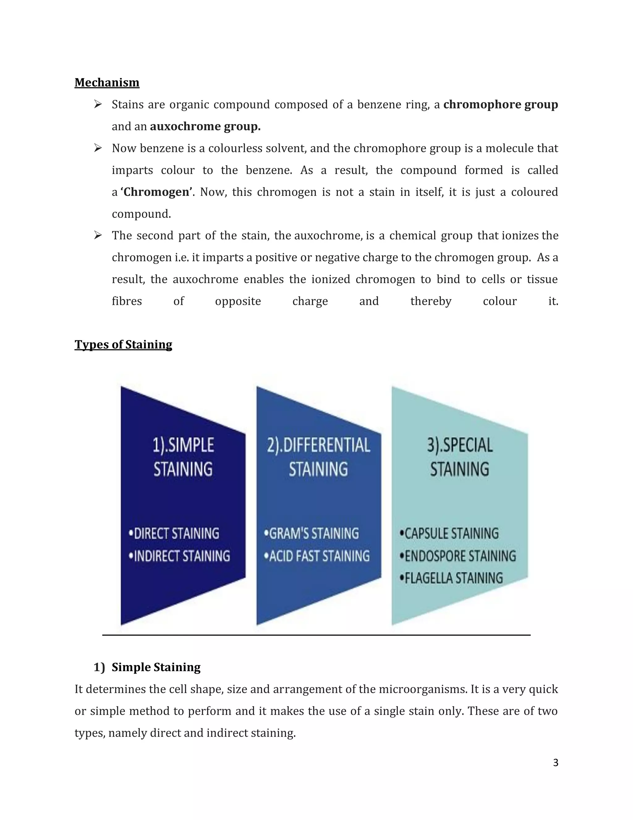 stain & staining.pdf