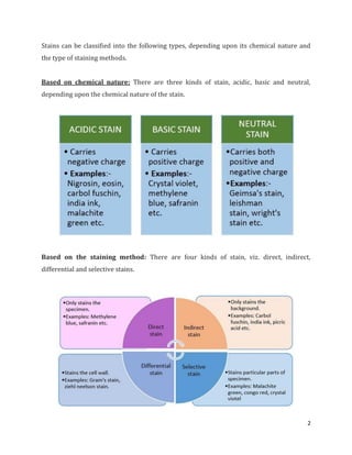 stain & staining.pdf